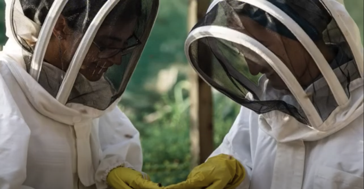 Beekeeping Course - Leaders in Community